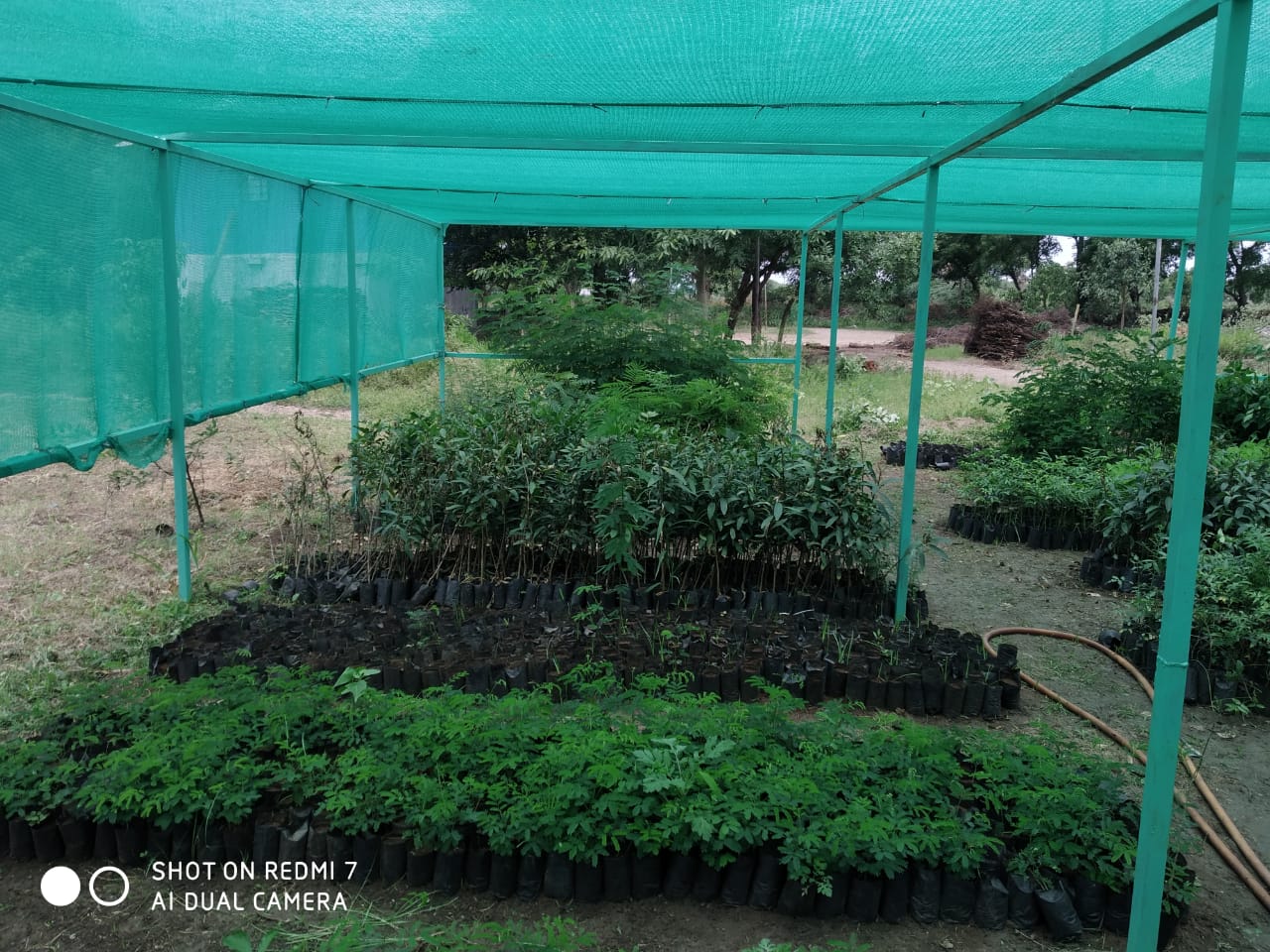Project Bandham – Reviving the Environment around Payir – Payir