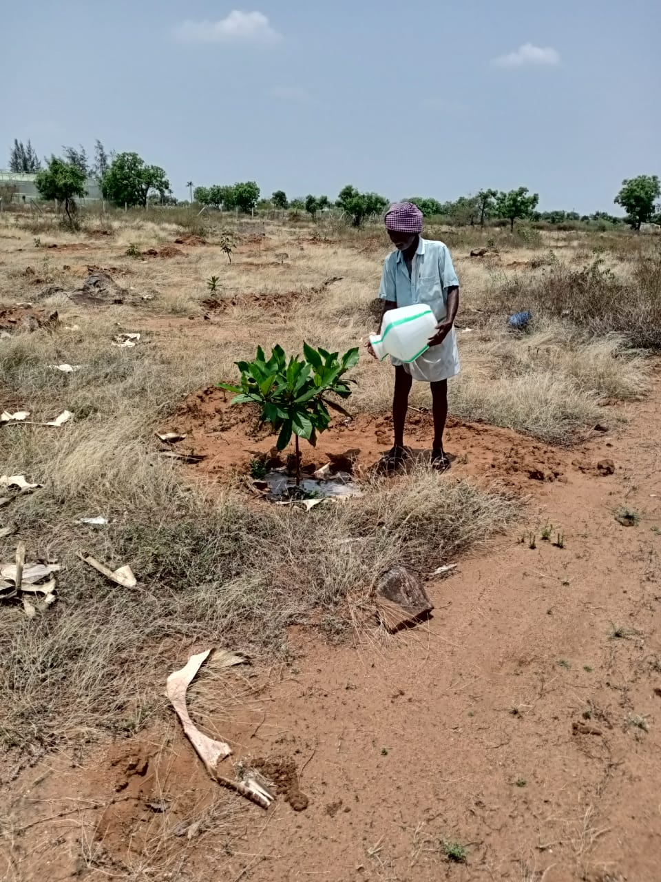 Project Bandham – Reviving the Environment around Payir – Payir